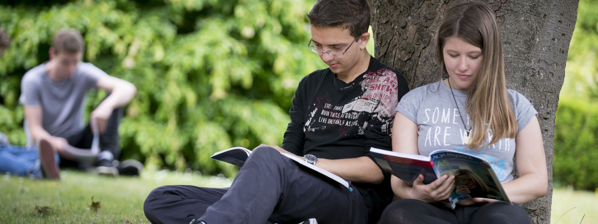 Travel & Tourism (Applied) - Travel & Tourism (Applied) - Travel & Tourism (Applied) - View All ...